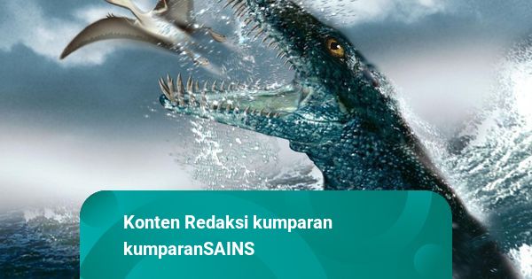 Ilmuwan Temukan Fosil Monster Laut di Polandia | kumparan.com Ilmuwan Temukan Fosil Monster Laut di Polandia | kumparan.com